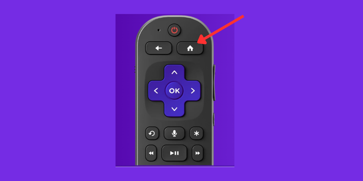 How To Access Roku's Secret Screens?